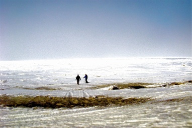 Barrow, Ukpiagvik, Inupiat, Point Barrow, Museum of the North, Ester